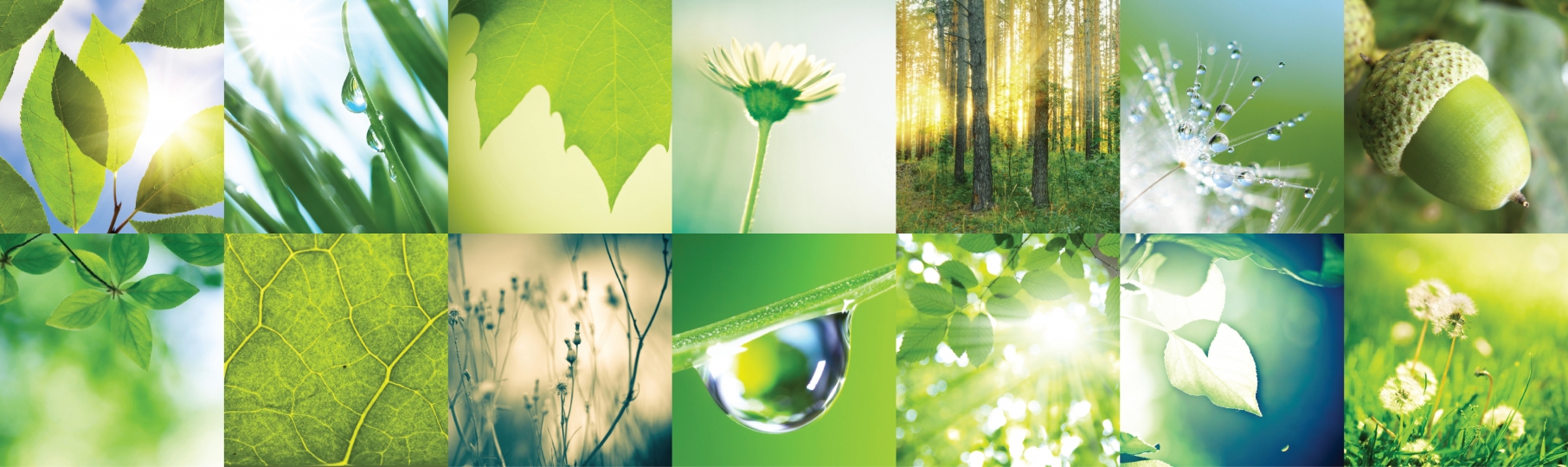 Earth Control Measures Officer – Revelation System Pte Ltd